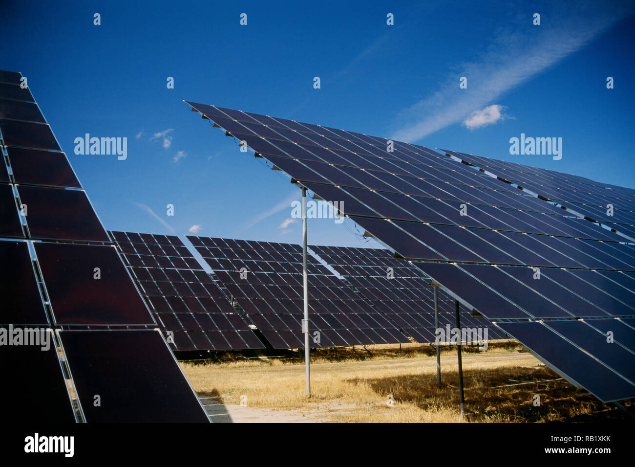 An array of solar panels, USA Stock Photo - Alamy