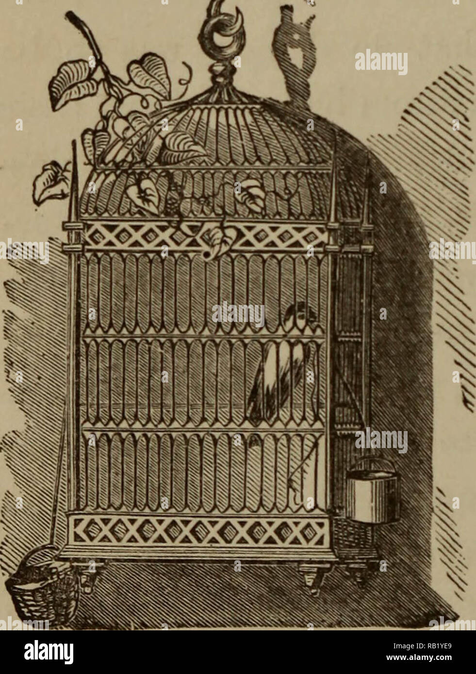 "Boys and birds; or, Miss Truat's mission" (1874 Stock Photo - Alamy