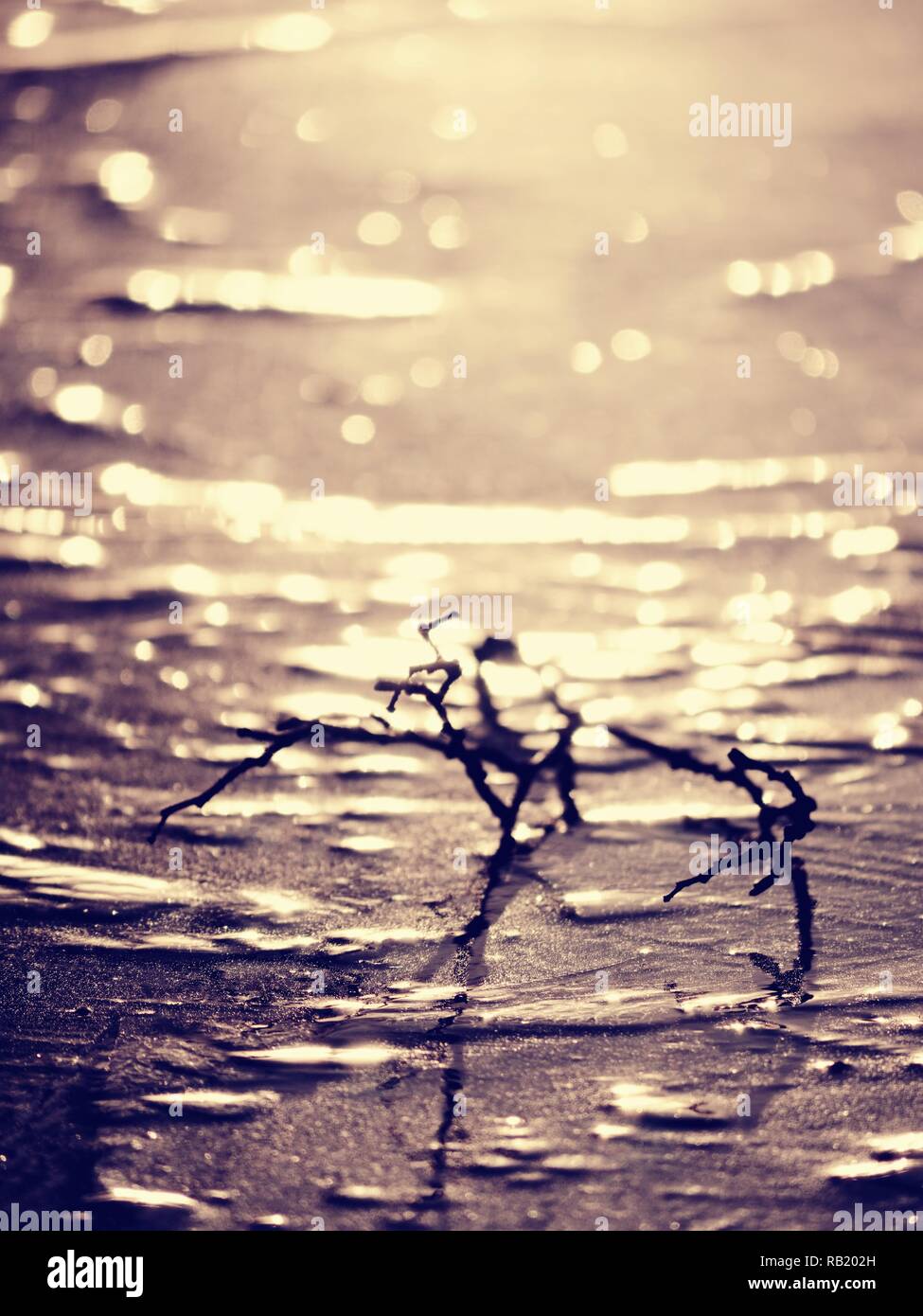 Reflection in ice. Cracks and bubbles frozen in thin ice make light ...