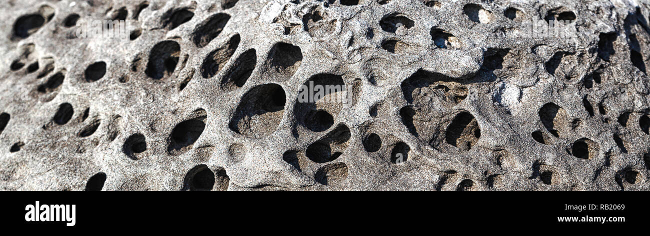 Panoramic form texture image of porous stone Stock Photo - Alamy