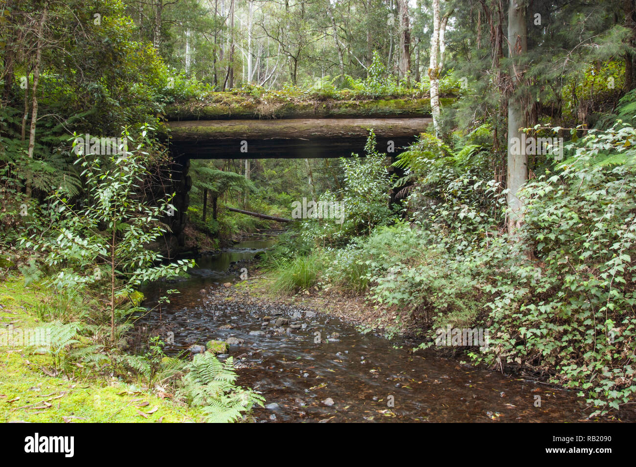 Vehicle bridge, Oxley Wild Rivers National Park Stock Photo - Alamy