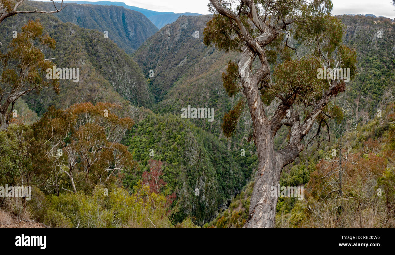 The sheer gorge cut by the Apsley River in Oxley Wild Rivers National ...