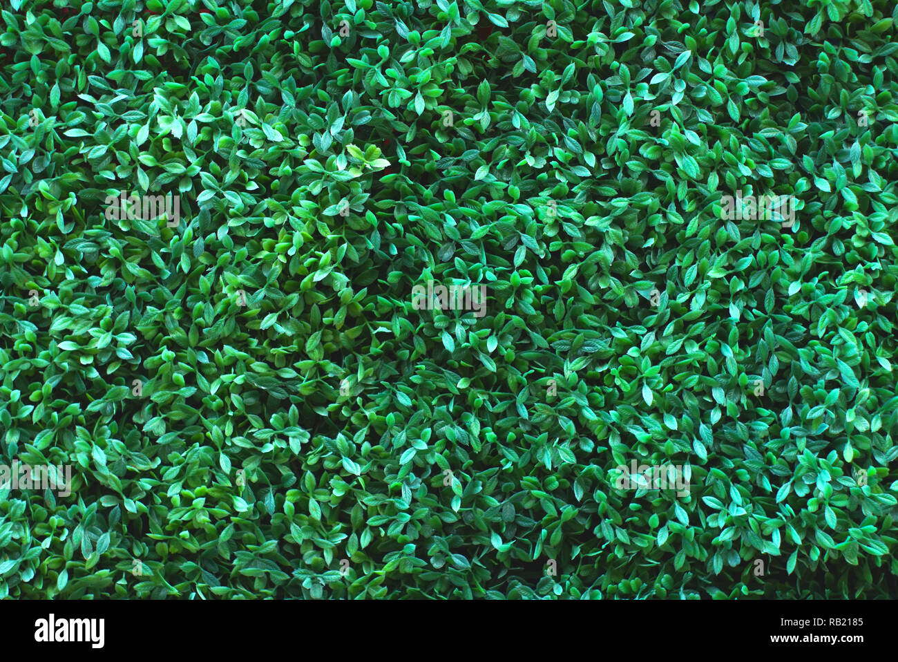 Small leaf pattern texture background Stock Photo - Alamy