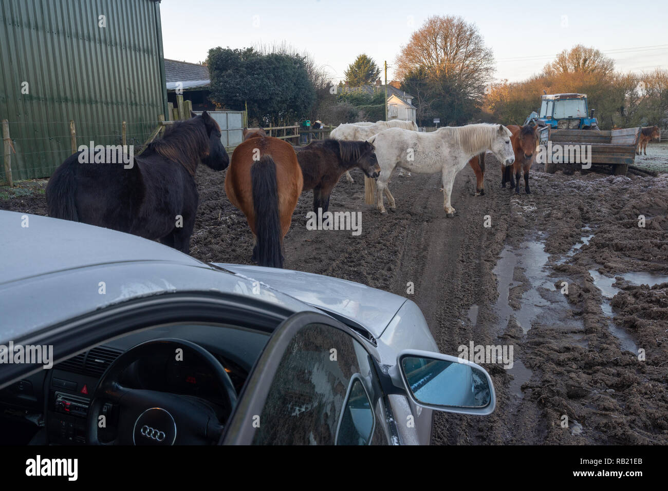 Blocking hi-res stock photography and images - Alamy