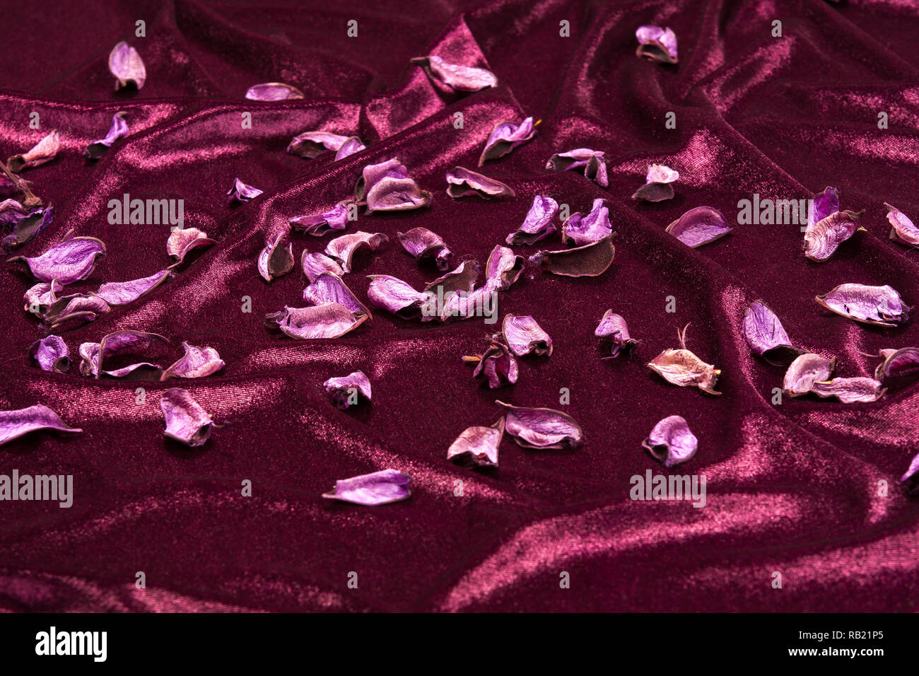 painted and dried leaves of cotton plants on purple satin fabric Stock ...
