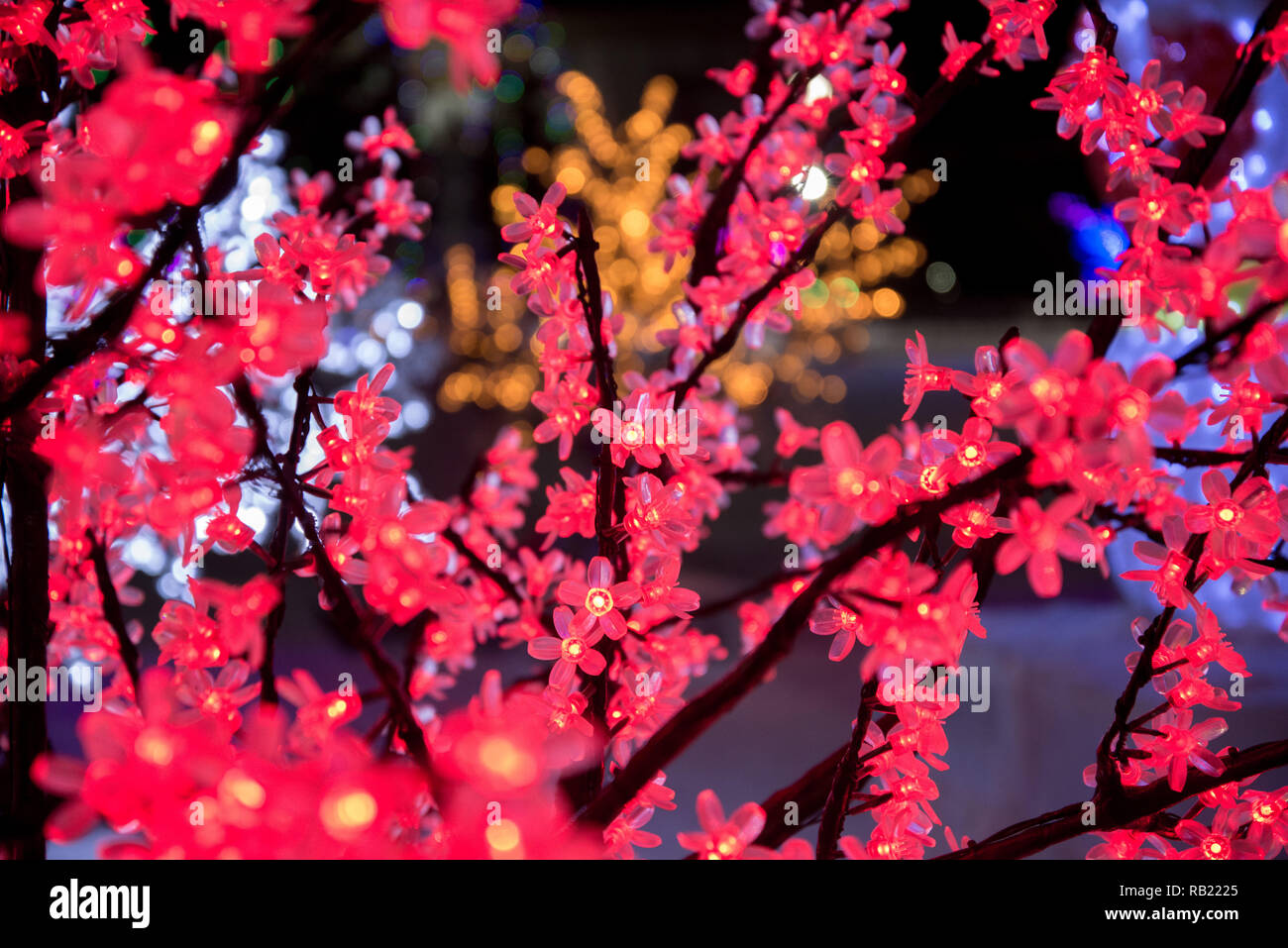 Neon Glowing Flowers