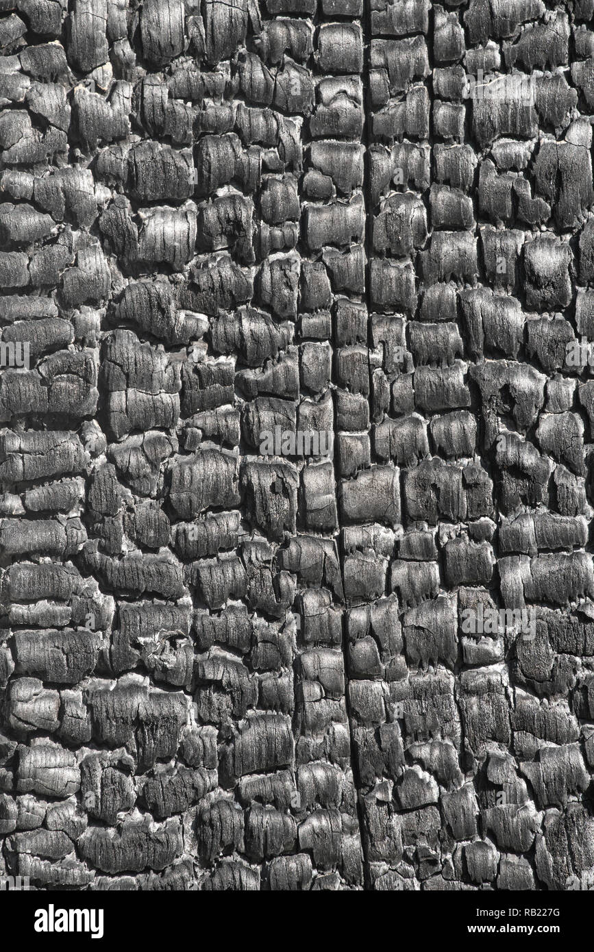 Surface wood burnt , texture coal, burn background Stock Photo - Alamy