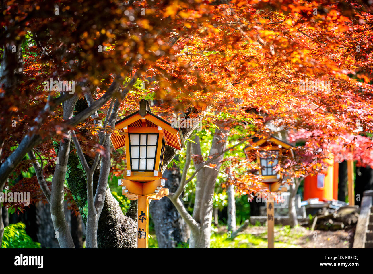 Lamp post pathway hi-res stock photography and images - Alamy