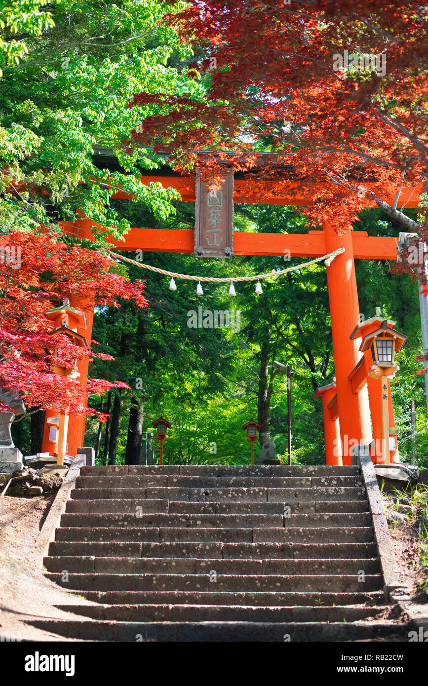 Japanese temple gate on walkway to temple with red maple around Stock ...