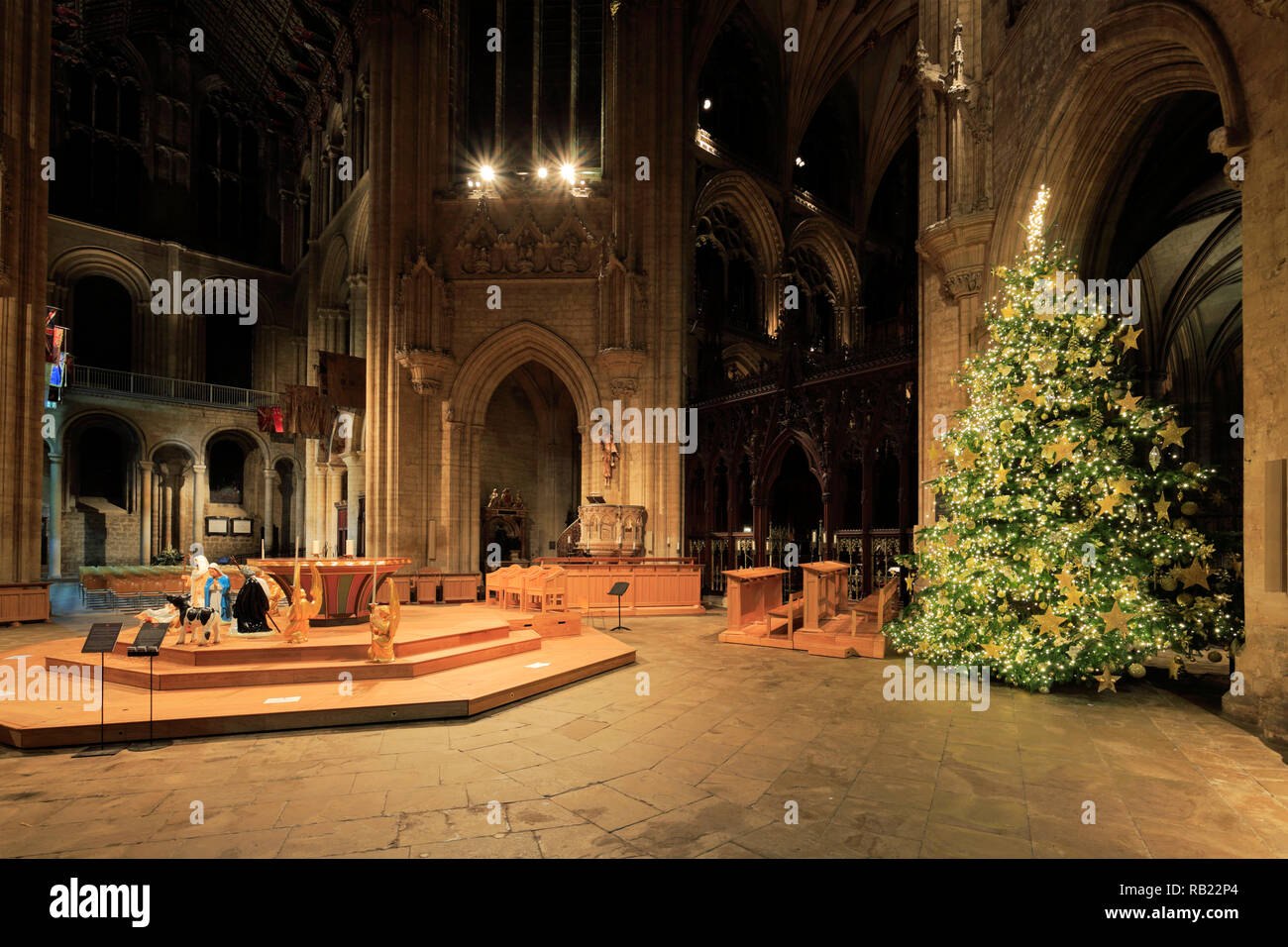 Ely cathedral cloisters hi-res stock photography and images - Alamy