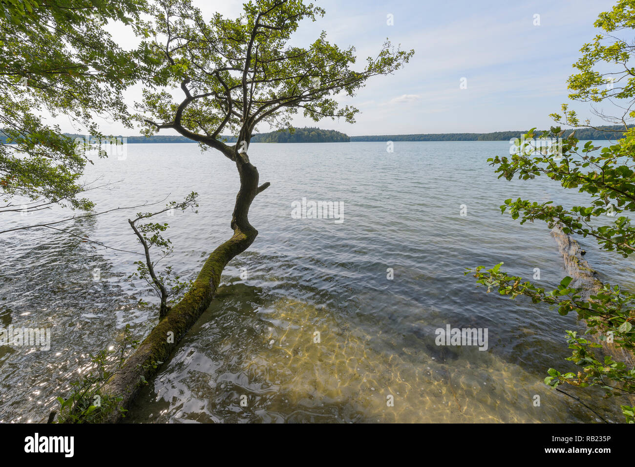 Großer stechlinsee hi-res stock photography and images - Alamy
