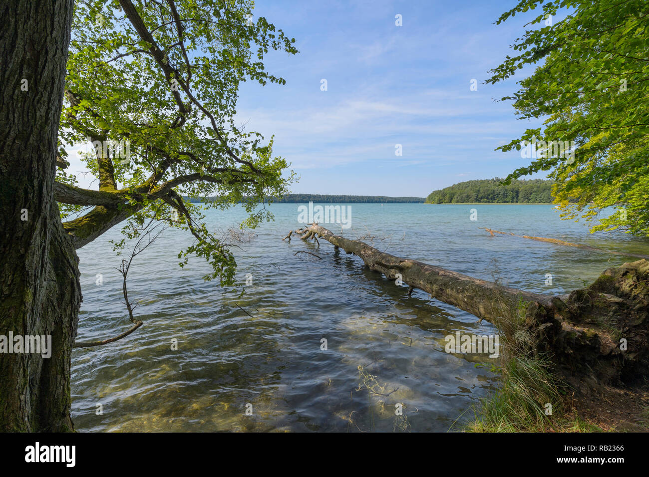 Großer stechlinsee hi-res stock photography and images - Alamy