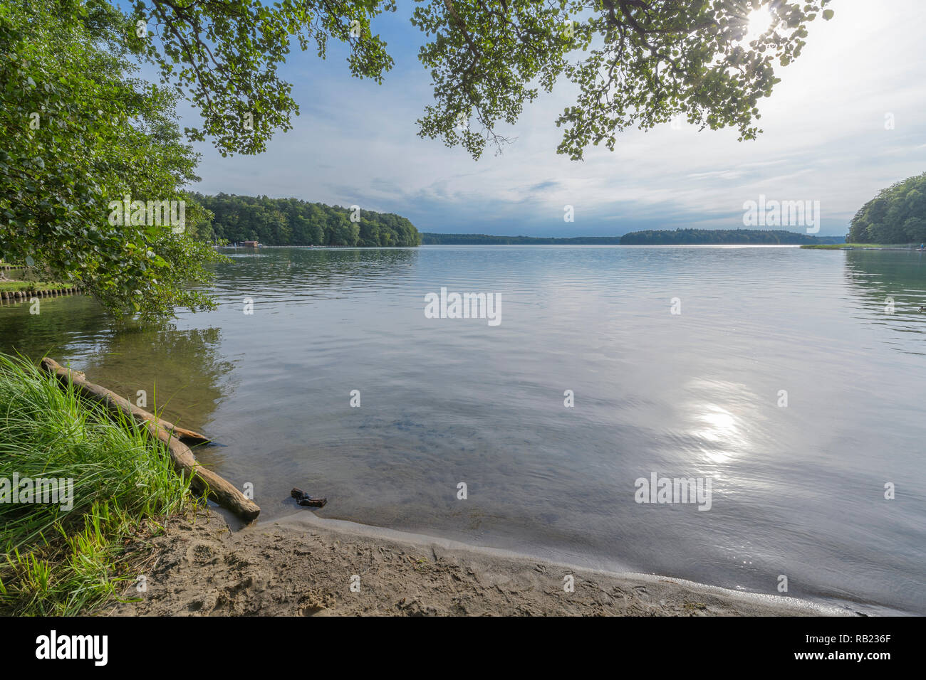 Lakeside in summer, Lake Großer Stechlinsee, Neuglobsow, Rheinsberg ...