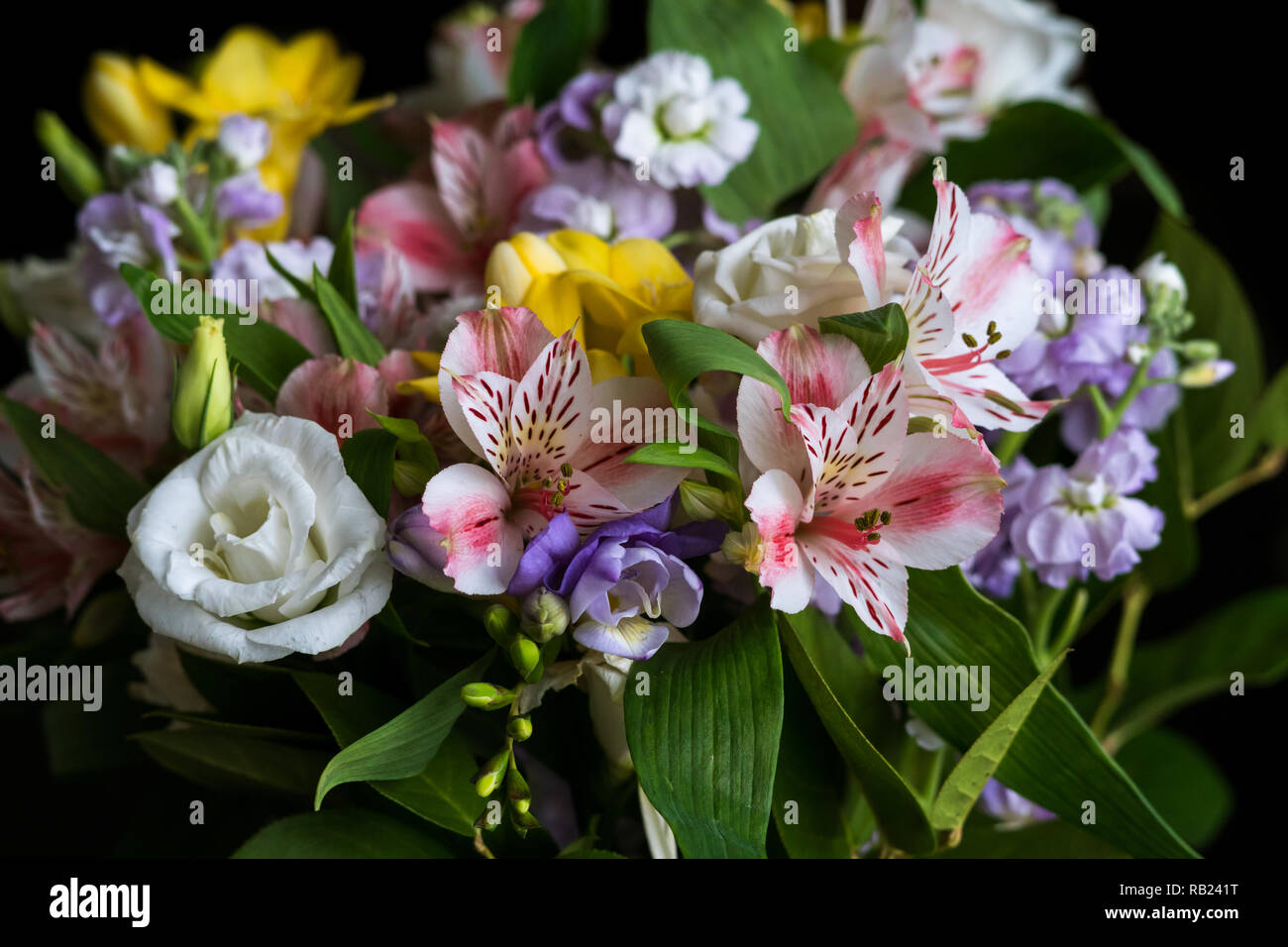 Cutted flower hi-res stock photography and images - Alamy