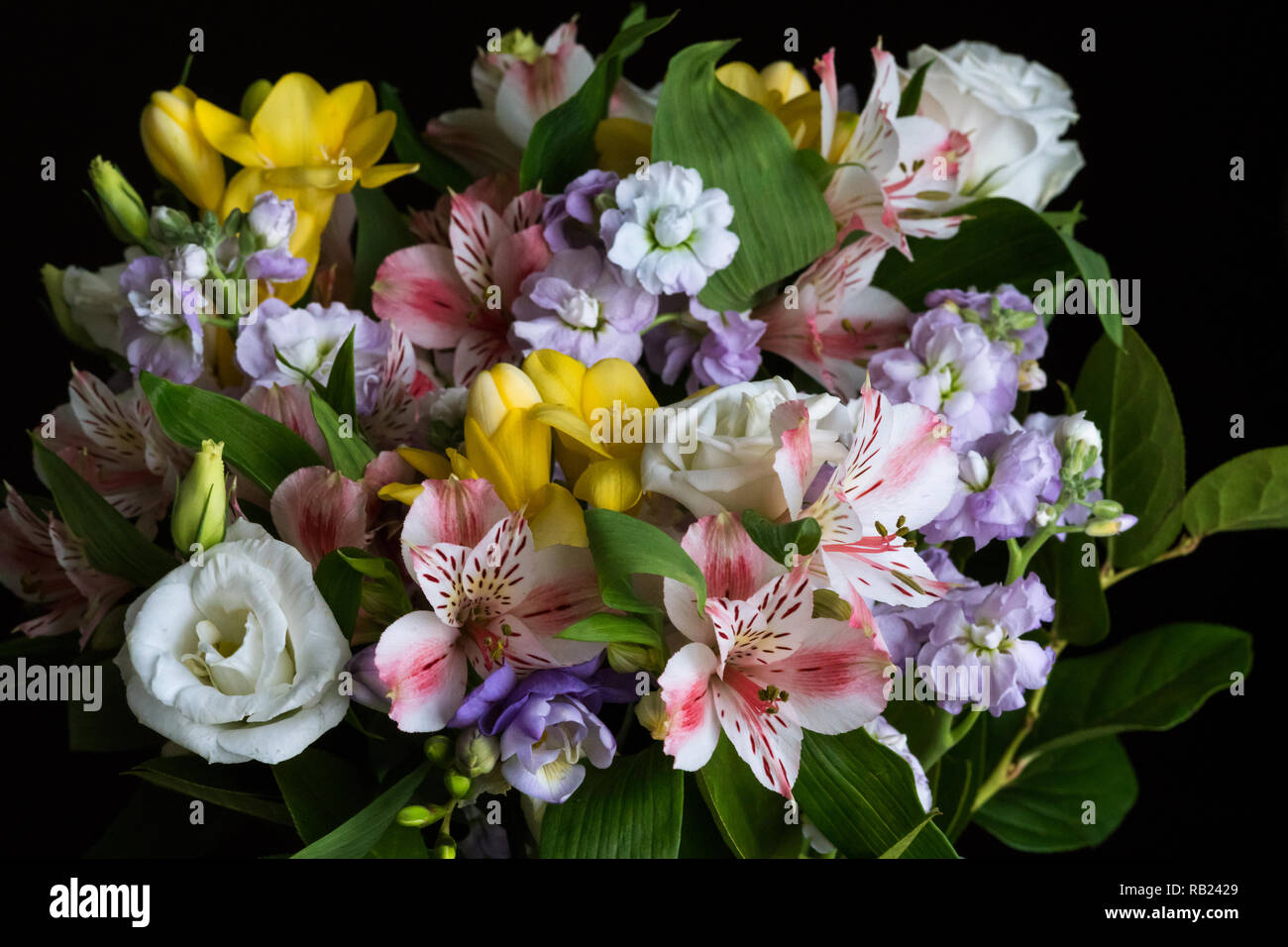 Cutted flower hi-res stock photography and images - Alamy
