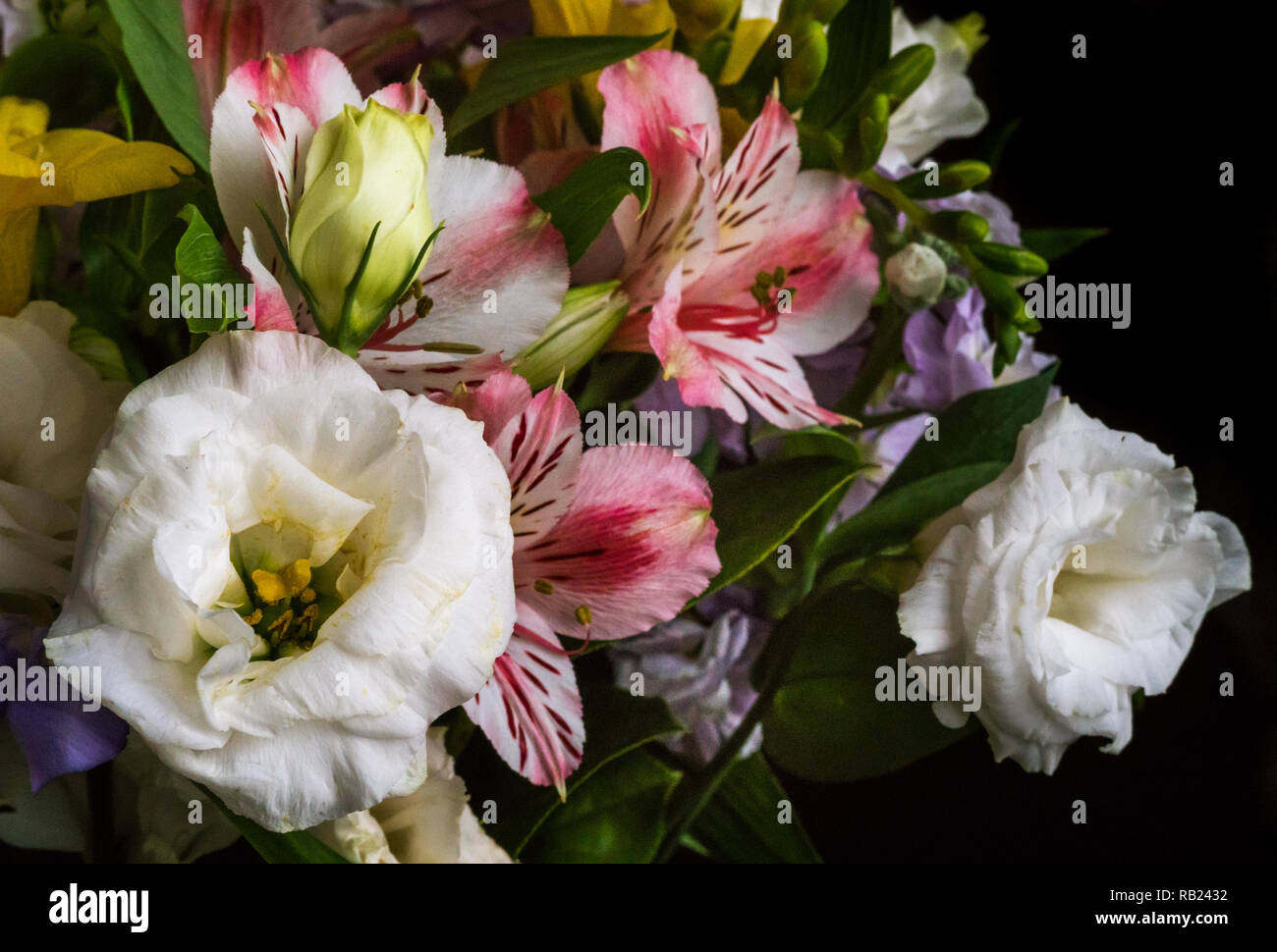 Cutted flower hi-res stock photography and images - Alamy