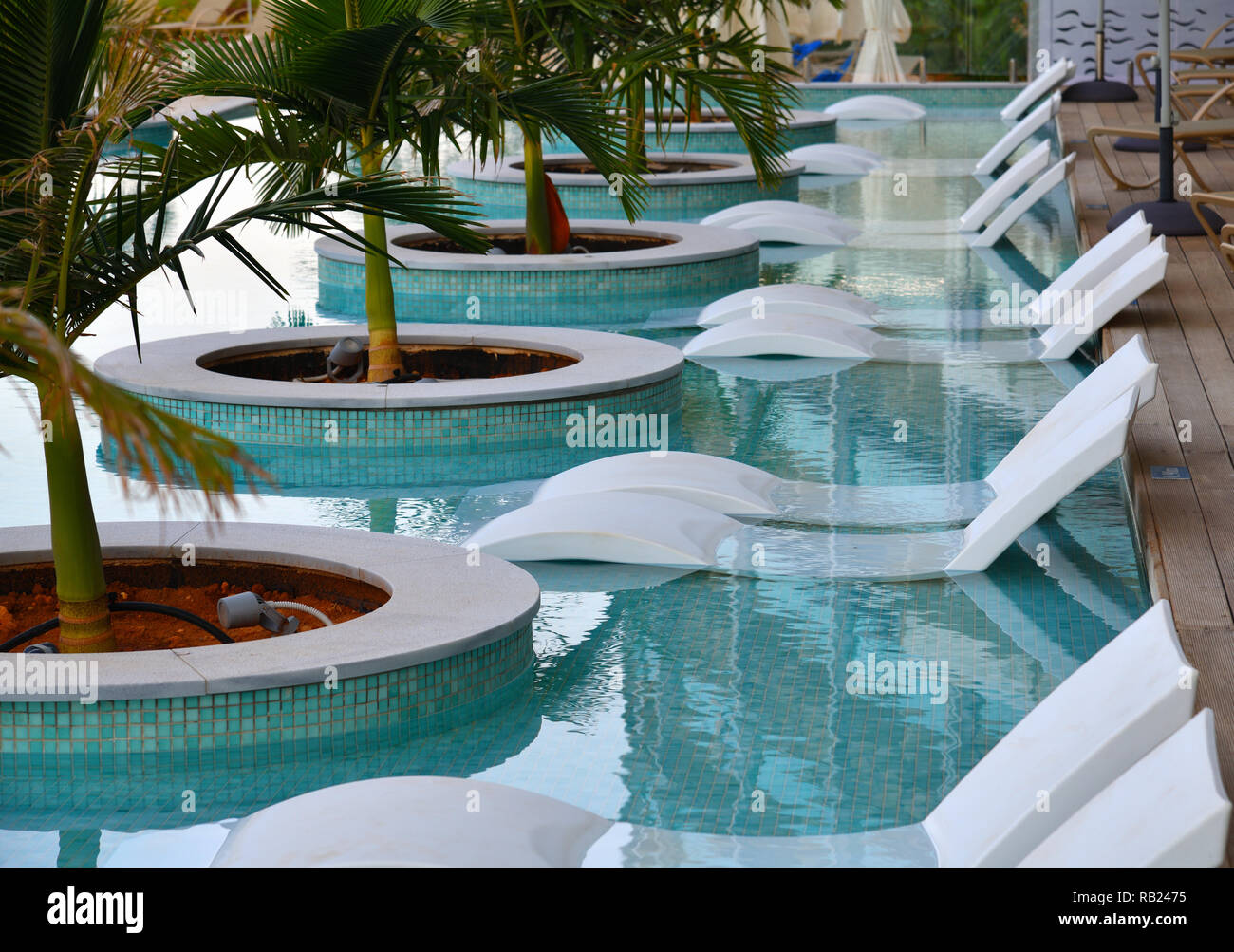 Beautiful swimming pool with palm trees hi-res stock photography and images - Alamy