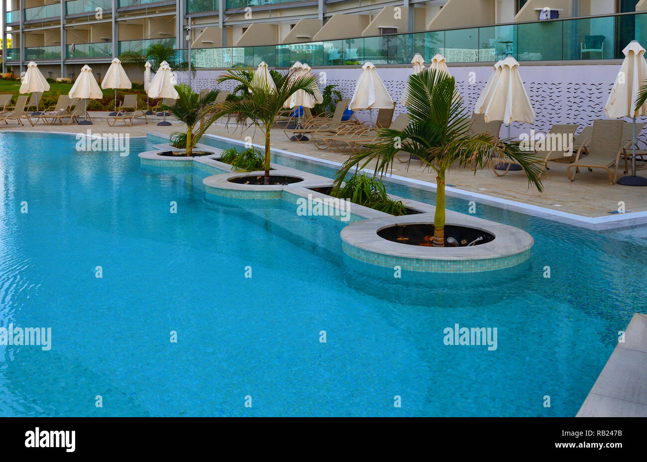 A Beautiful pool with a palm trees Stock Photo - Alamy