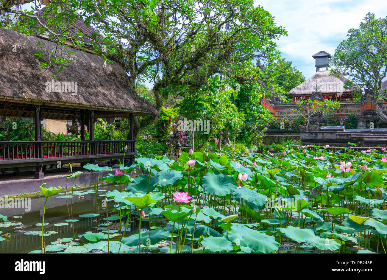 Goa gardens hi-res stock photography and images - Alamy
