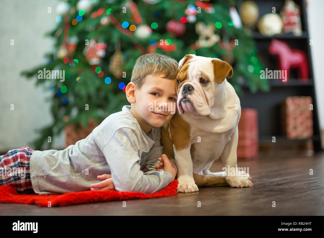 Best friends handsome blond boy and puppy red white english bulldog ...