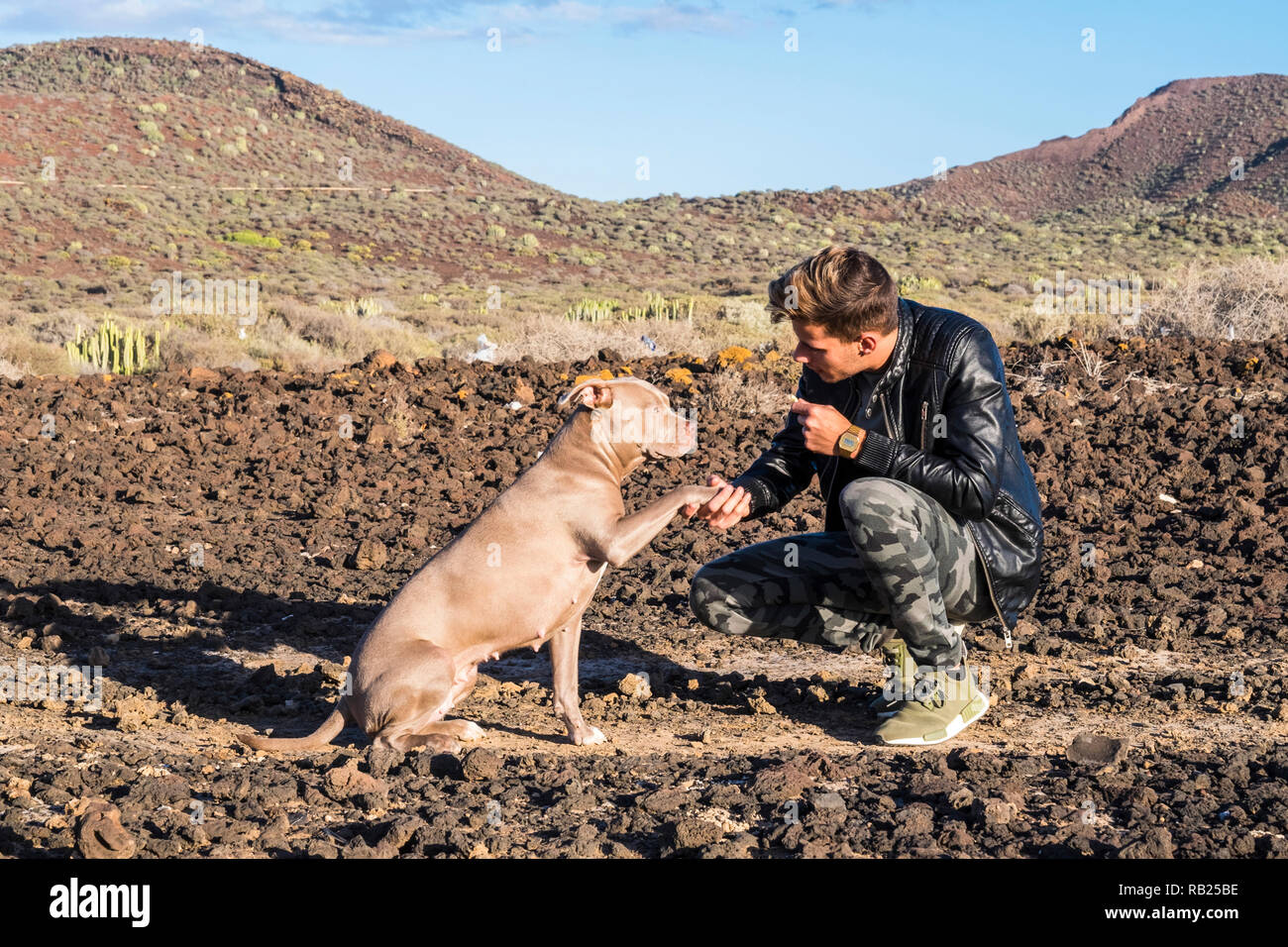 Young man with his lovely dog friendly take hand and paw and enjoy the ...