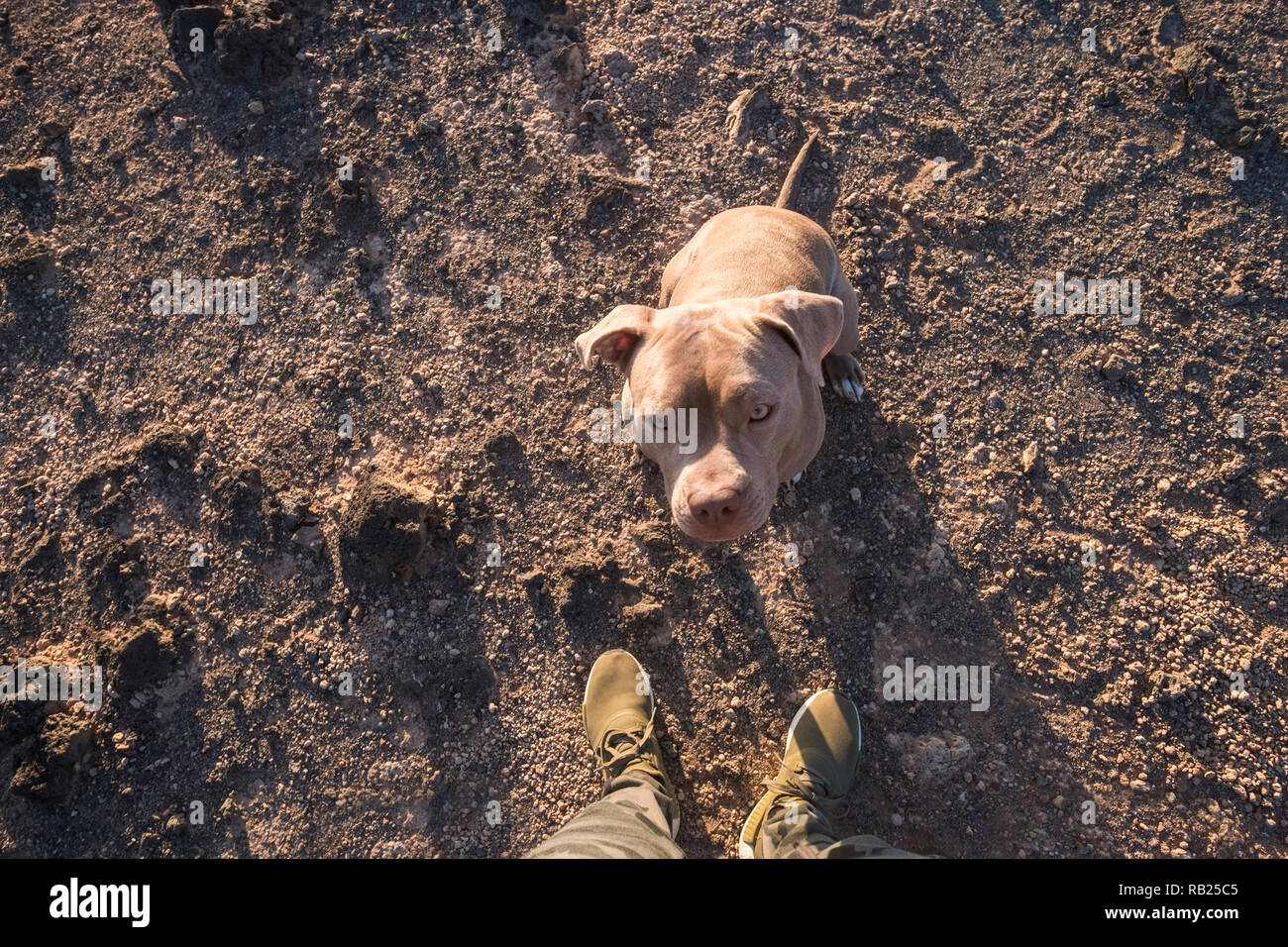 Amstal hi-res stock photography and images - Alamy