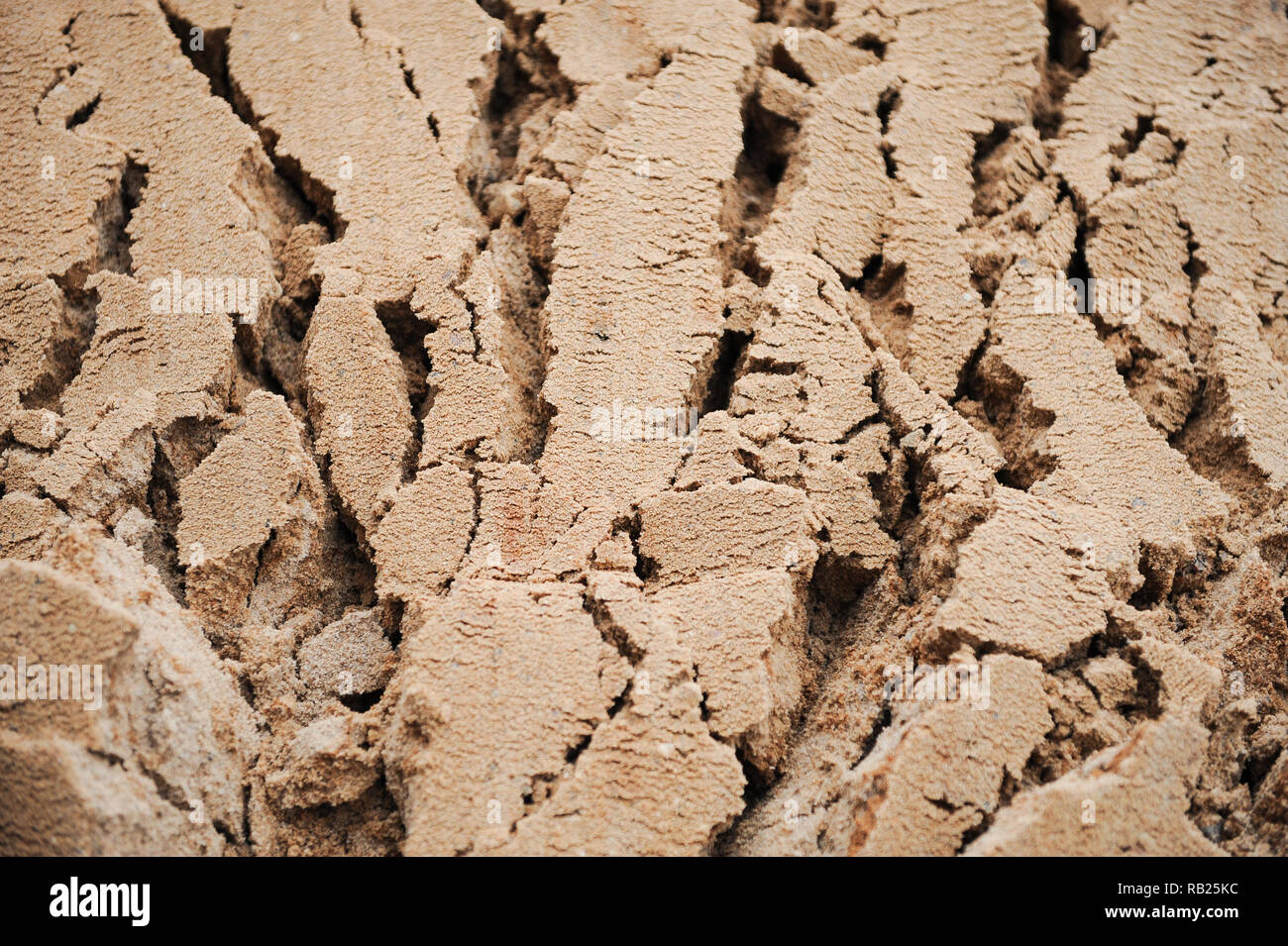 background deep cracks in wet sand Stock Photo - Alamy
