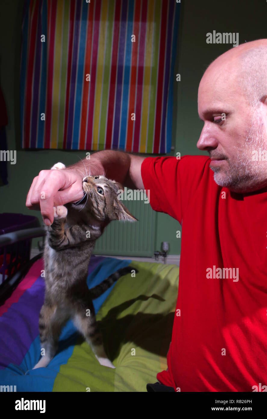 Cat biting hand hi-res stock photography and images - Alamy