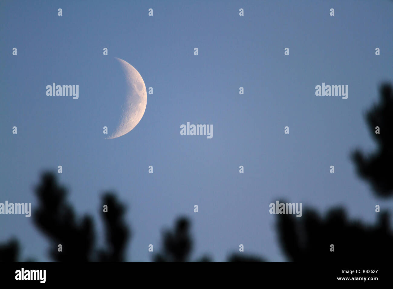 The moon in twilight Stock Photo - Alamy