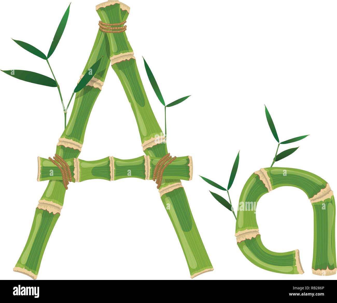 Set green bamboo leaves Stock Vector Images - Alamy