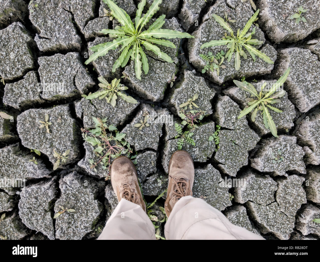 Dried out surface hi-res stock photography and images - Alamy