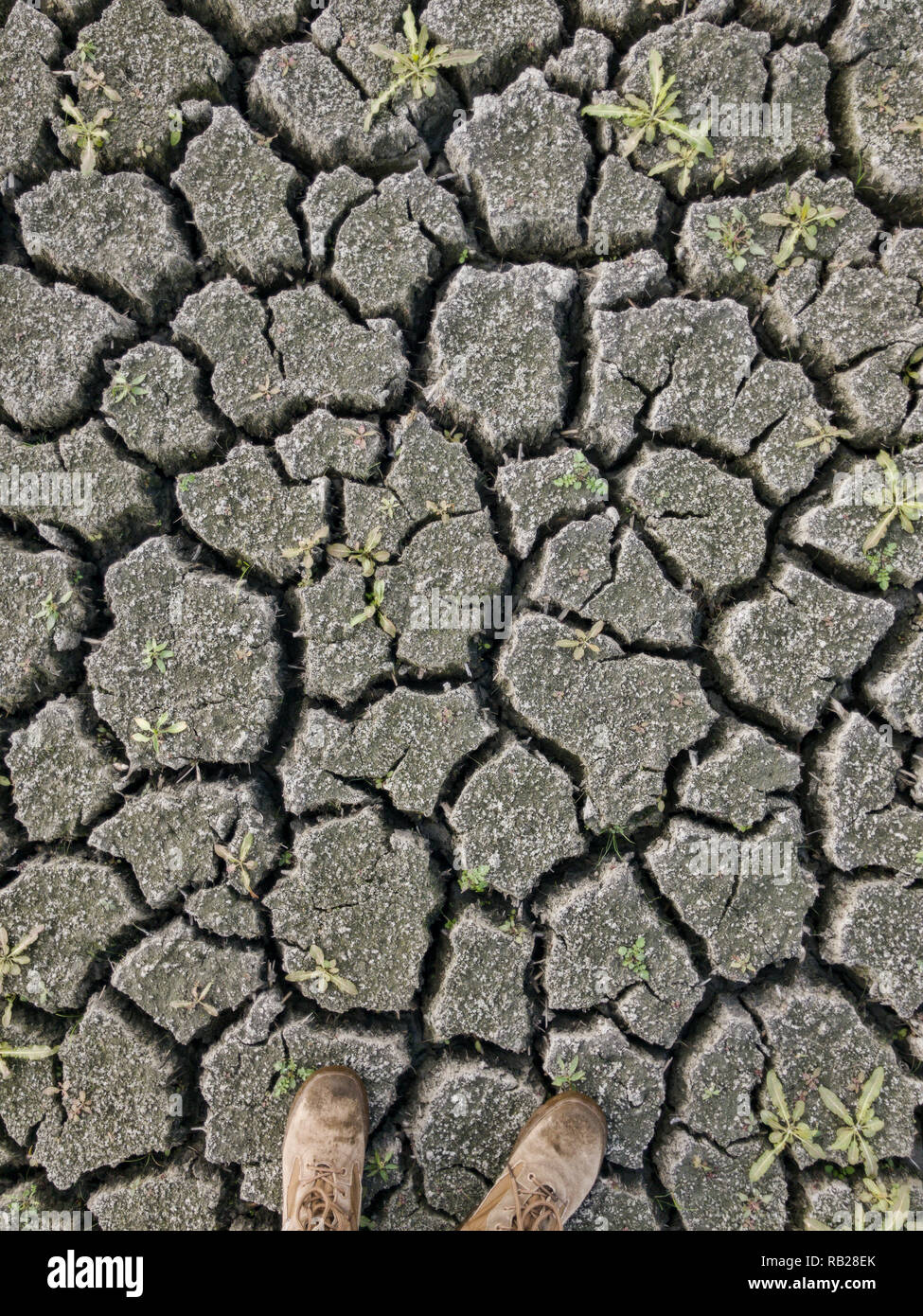 Pattern cracks in dried hi-res stock photography and images - Alamy