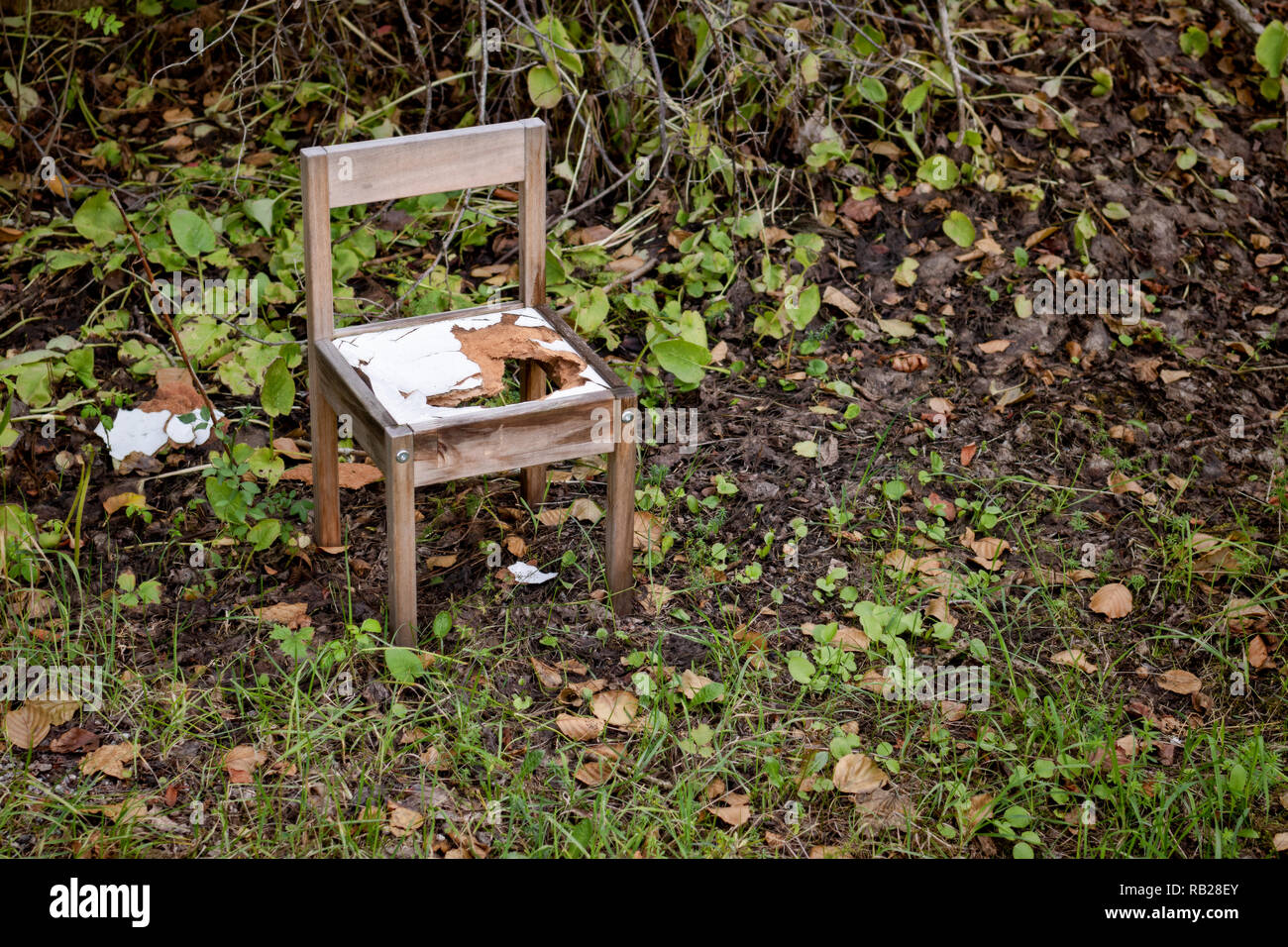 Broken and abandoned chair in the woods Stock Photo - Alamy