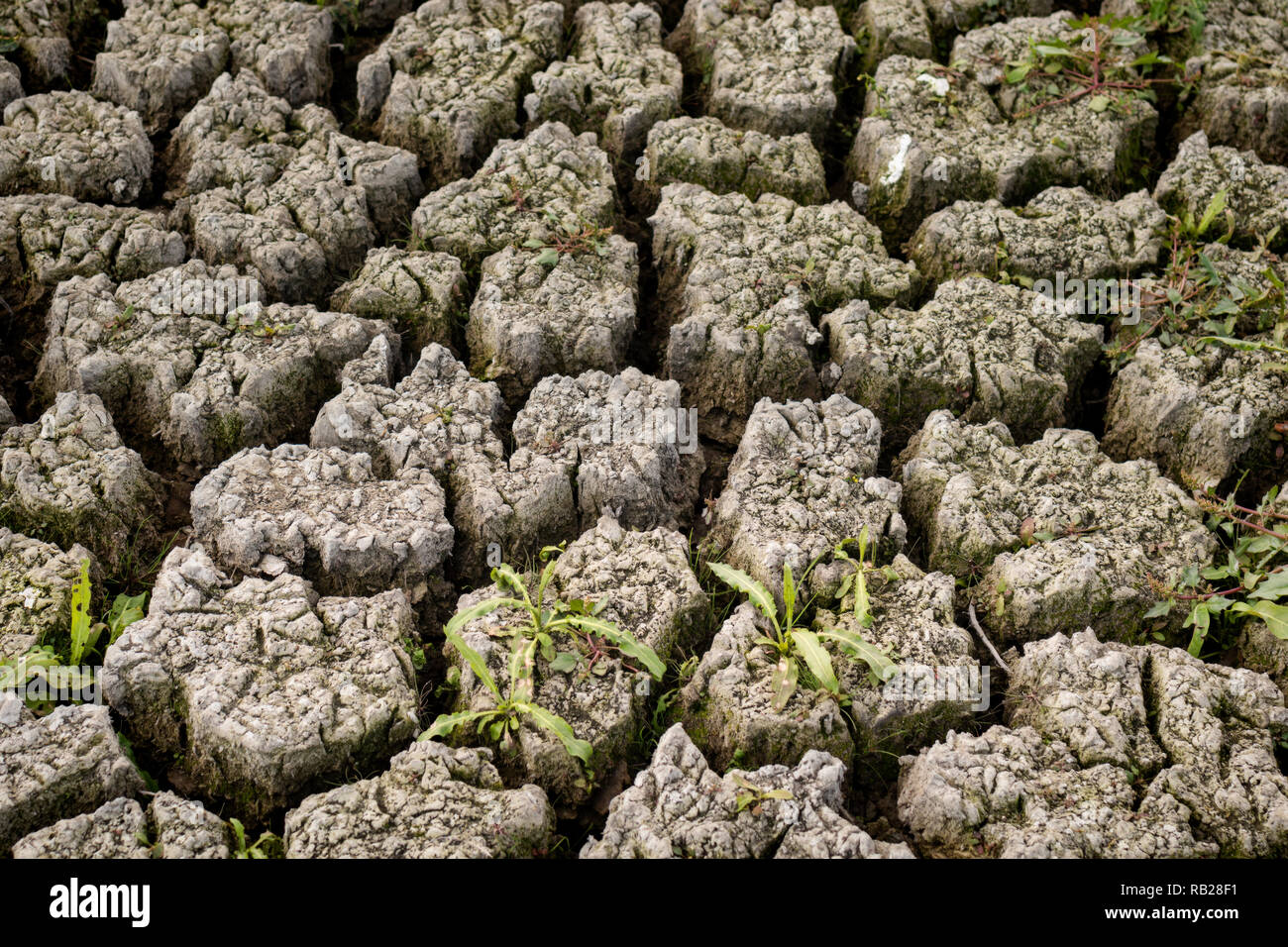 Cracks in mud background hi-res stock photography and images - Alamy