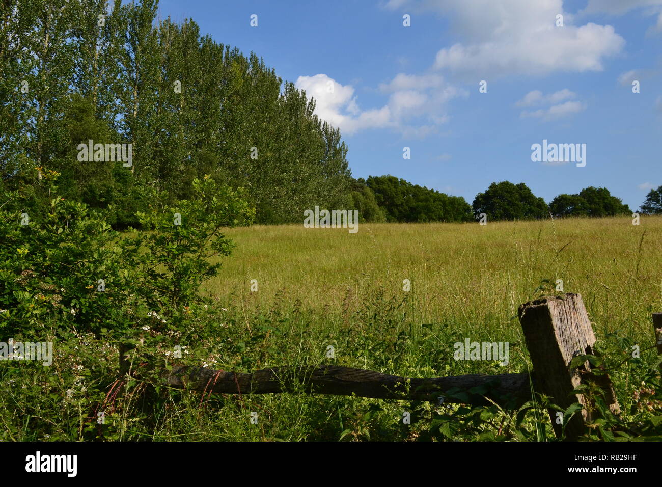 John darlings farm hi-res stock photography and images - Alamy