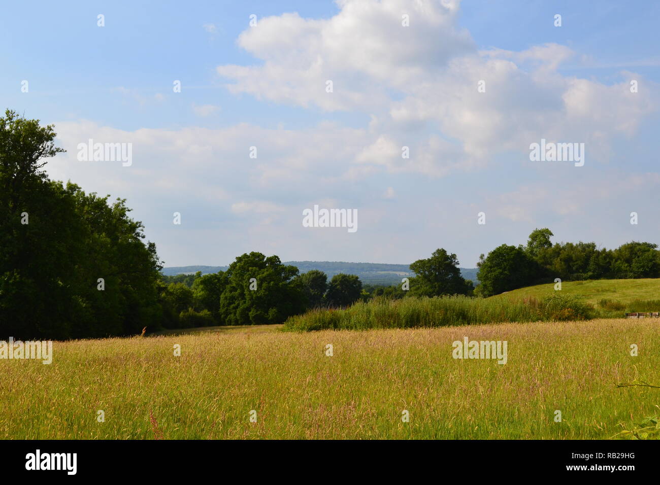 Lovely june summers day weather hi-res stock photography and images - Alamy