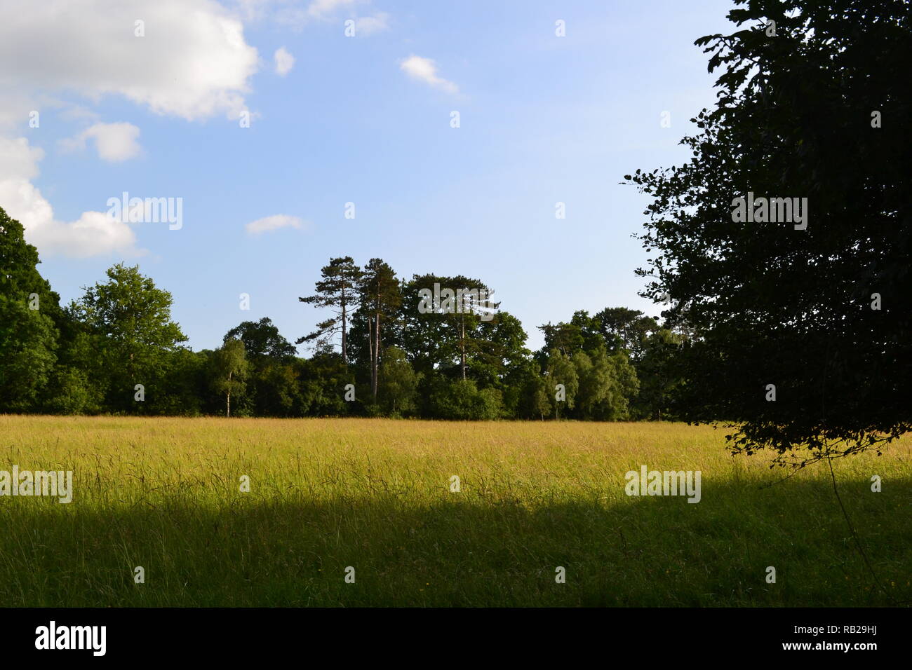 Lovely countryside south east of Hever Castle, near site of Neverworld ...