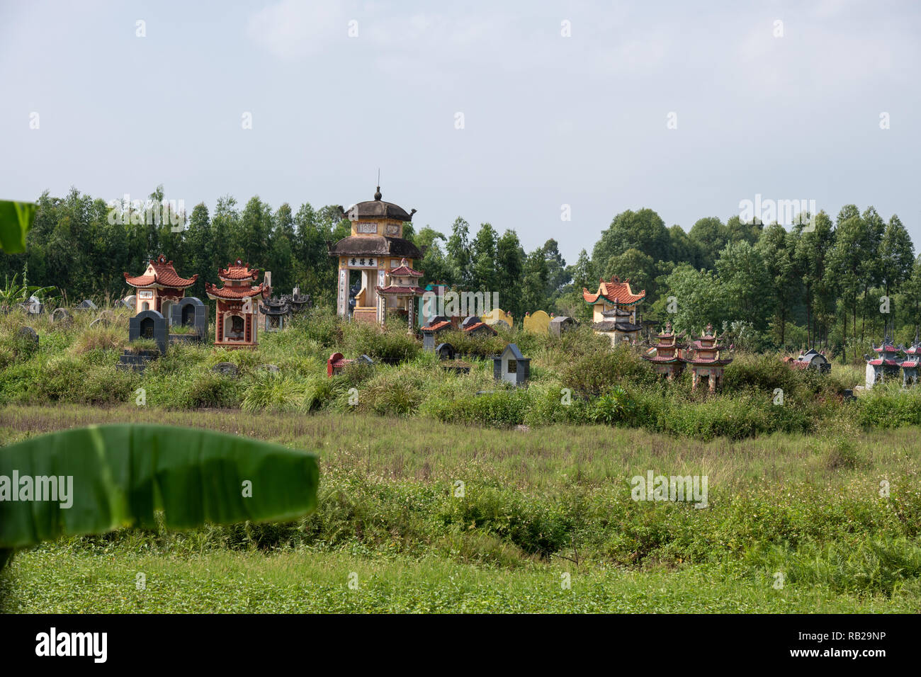 Traditional cemetery, rural Vietnam Stock Photo - Alamy