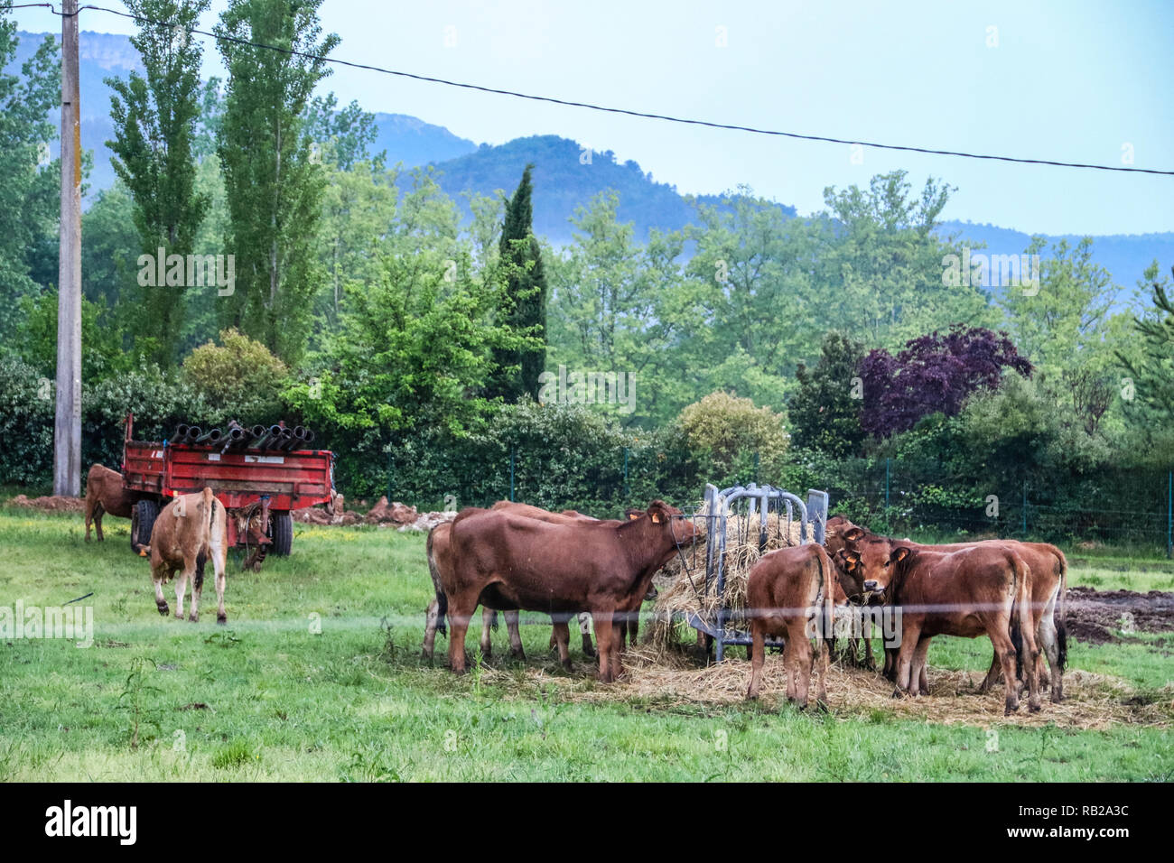 French country life & Nature 2018 / Fromages et lait cru de vache N. et ...