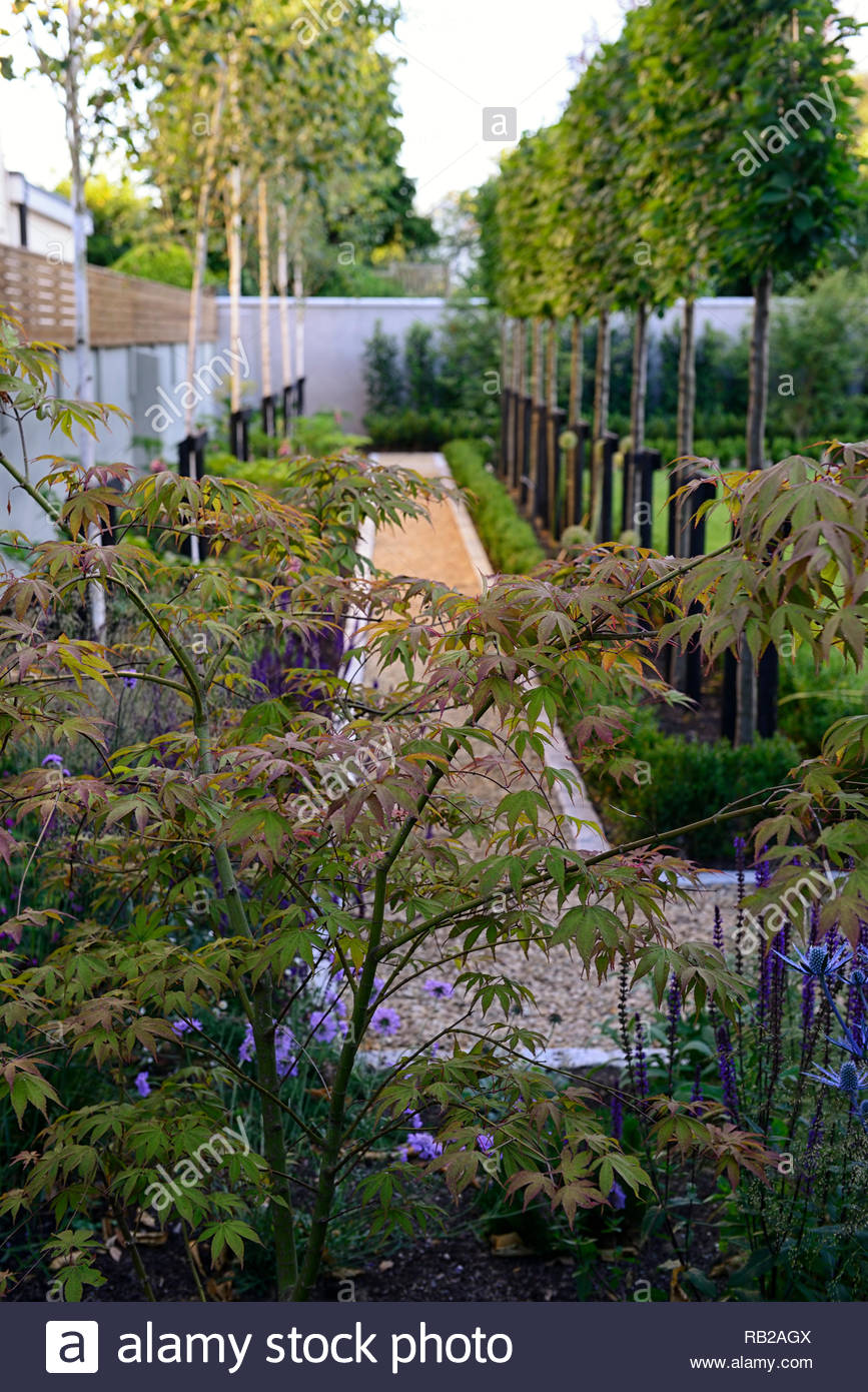 Privacy Shield High Resolution Stock Photography and Images - Alamy