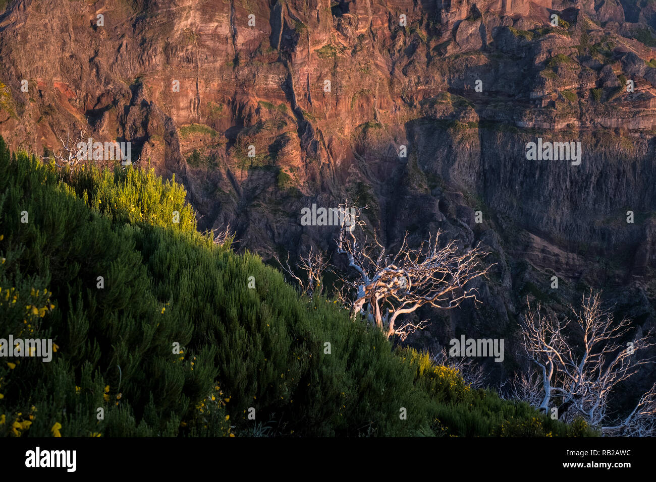 Madeira, Portugal - 13 June 2017: Canyon in Madeira Stock Photo - Alamy