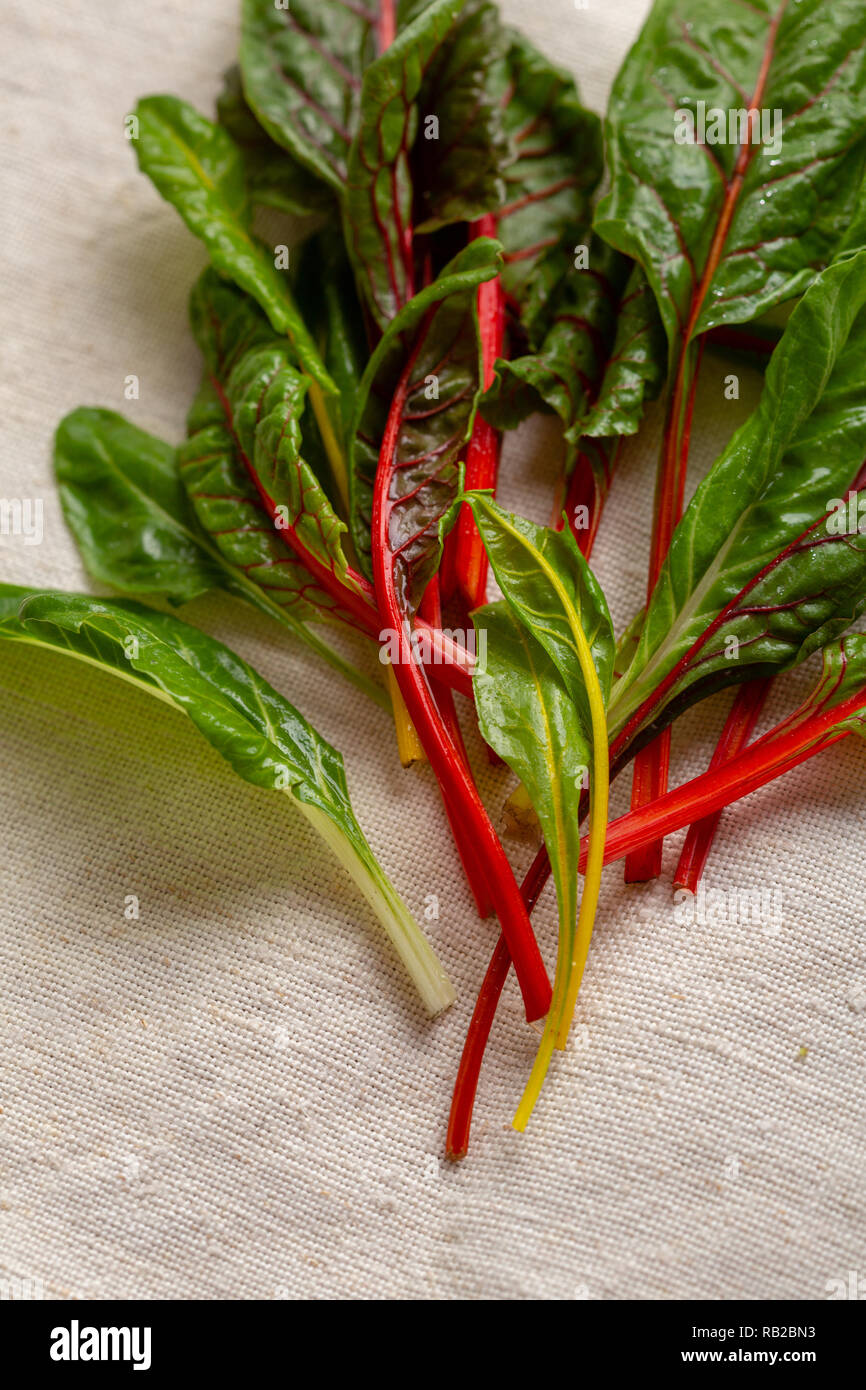 Fresh swiss chard Stock Photo - Alamy