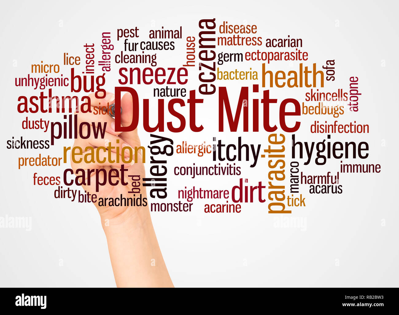 Dust mite word cloud and hand with marker concept on white background ...