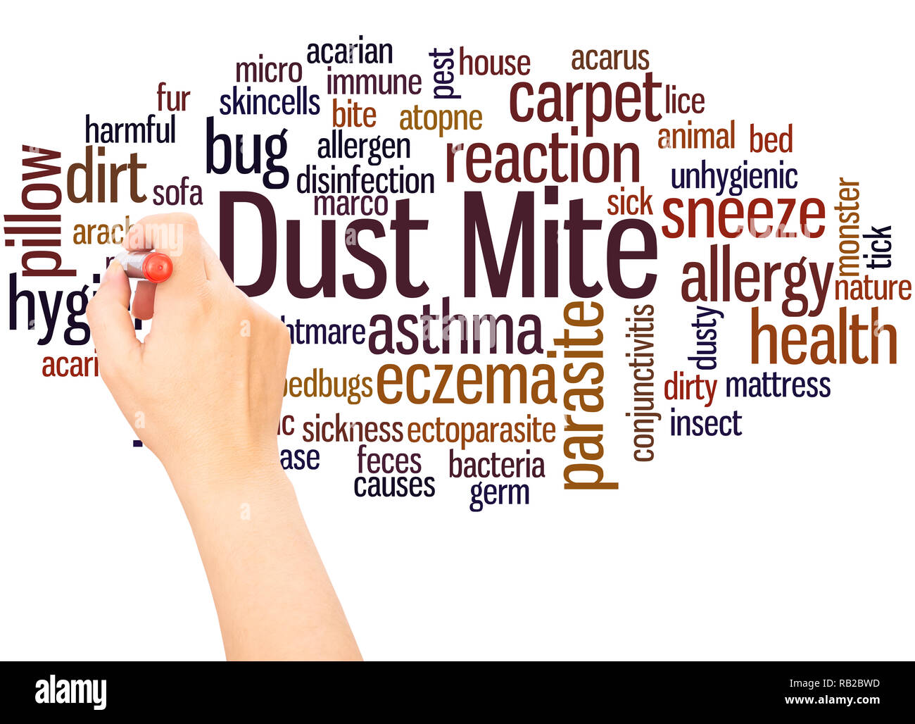 Dust mite word cloud hand writing concept on white background Stock ...