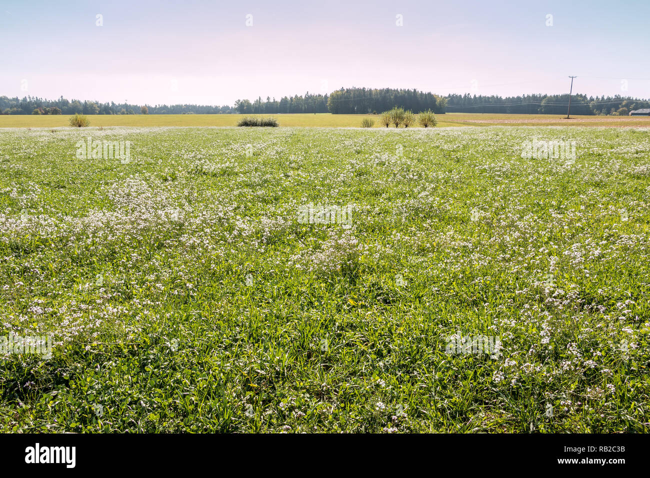 German countryside with forests, fields and meadows Stock Photo - Alamy