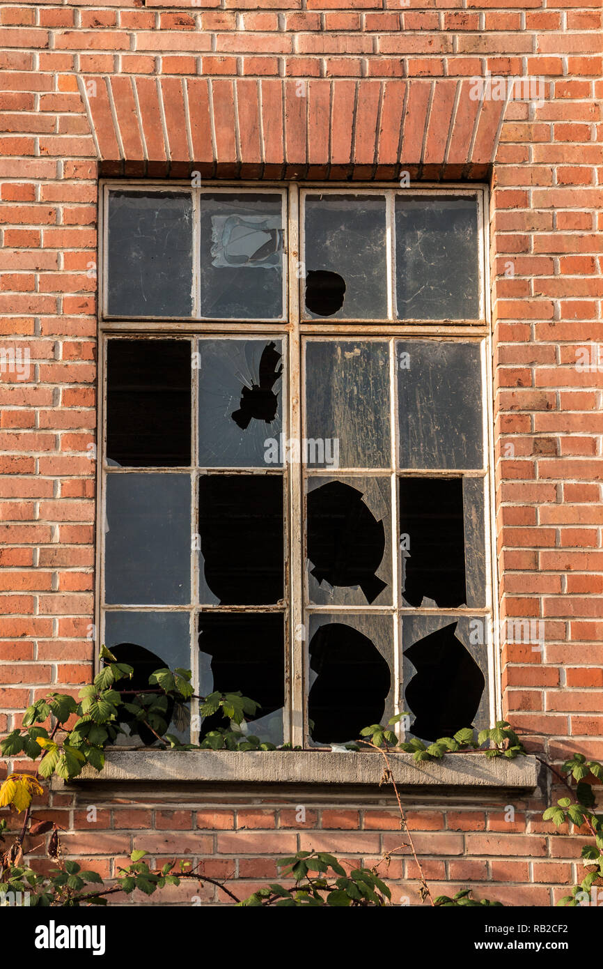 Old destroyed brick house ruin with broken windows Stock Photo - Alamy