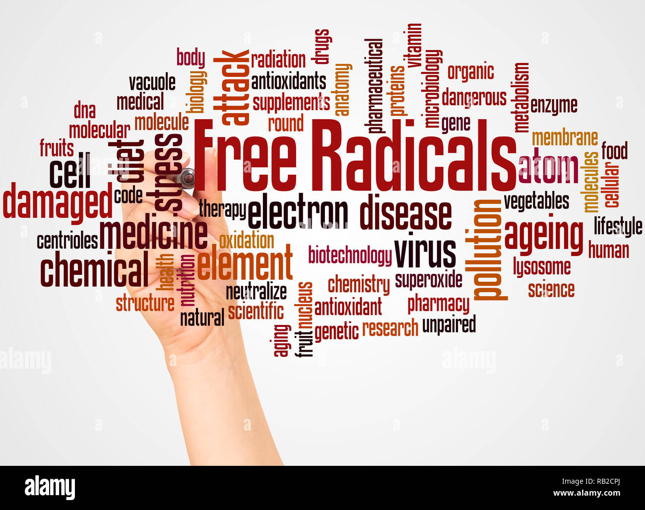 Free radicals word cloud and hand with marker concept on white ...