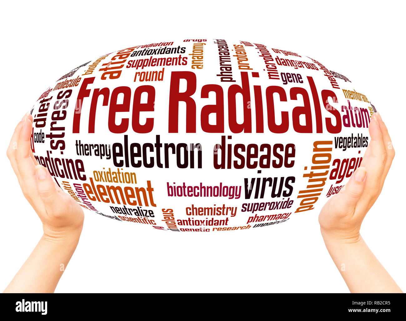 Free radicals word cloud hand sphere concept on white background Stock ...