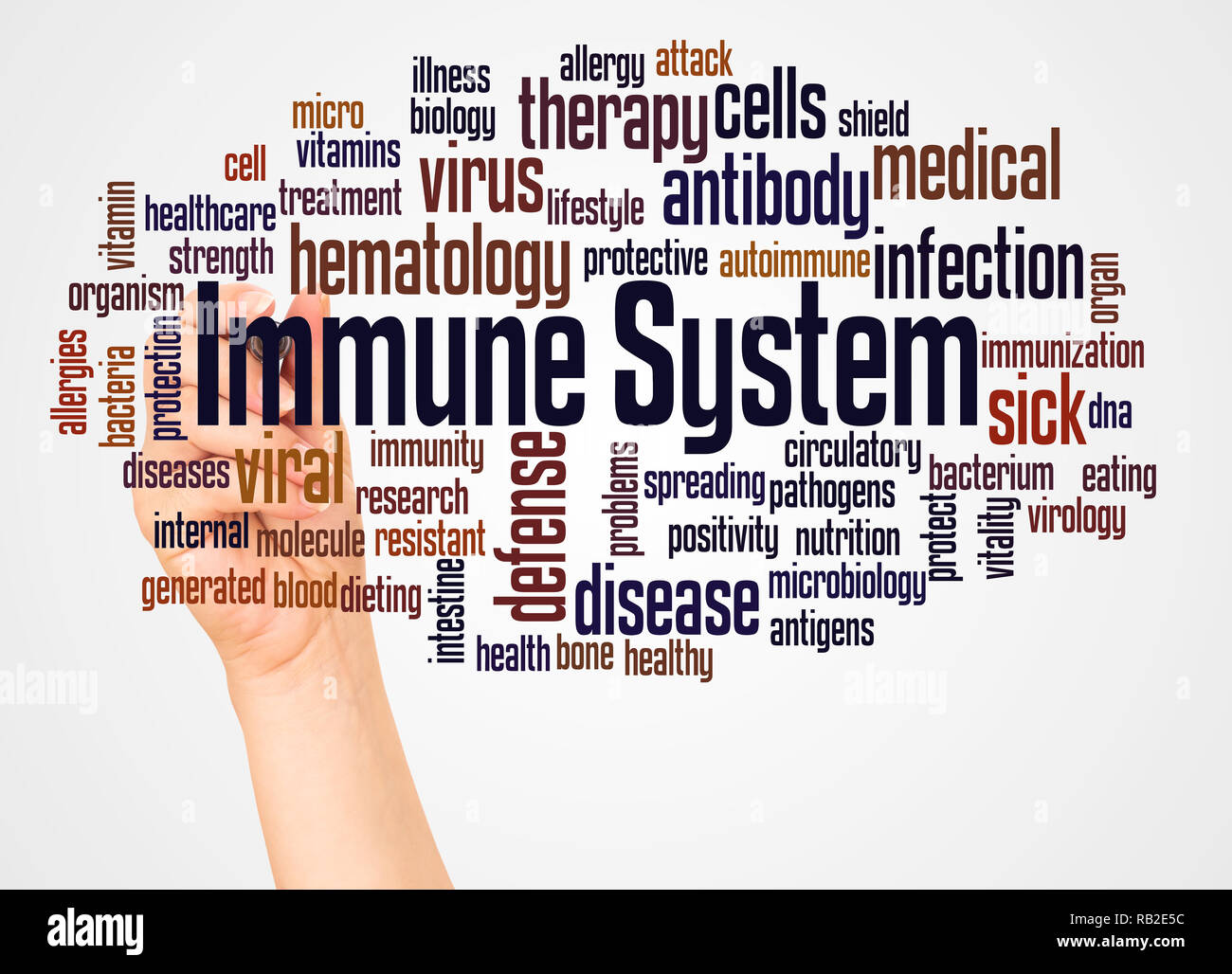 Immune system word cloud and hand with marker concept on white ...