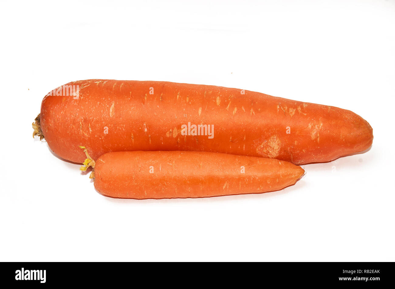 Two whole carrots isolated on a white background. Isolate Stock Photo ...